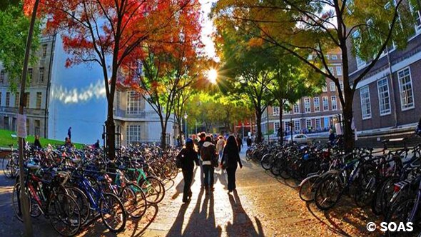 SOAS, 런던대학교 개별상담 | British Council